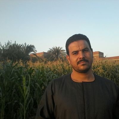 Sameh Ali (@SamehAl02059835) / Twitter