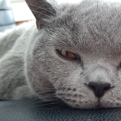 X-Zero (@Yod_Noppasit) | Twitter