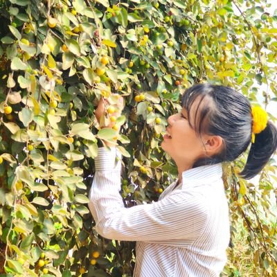 Wutt Yee Phyoe (@WuttYeePhyoe6) | Twitter