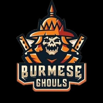 Lin Htet Paing (@LinHtet58380732) | Twitter