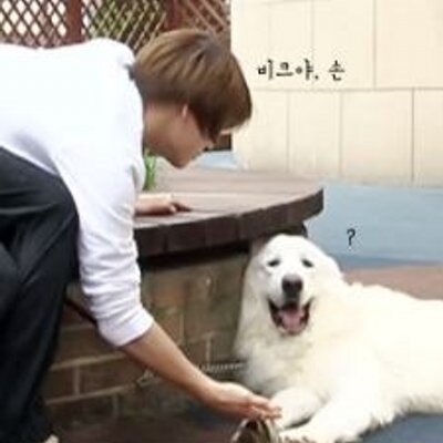 Vick_bot (@Vick_bot) / Twitter