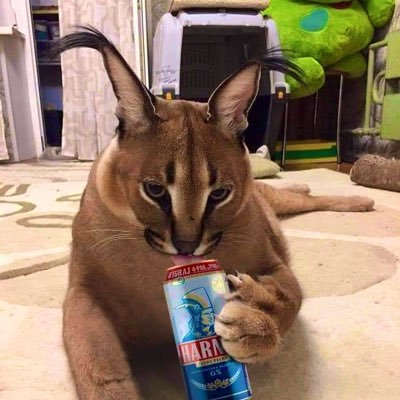 Zaina 🔞 (Commissions CLOSED) on Twitter: "Aqua ripping a fat one, for @lllewdsions There is ...