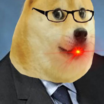 Doge Rich