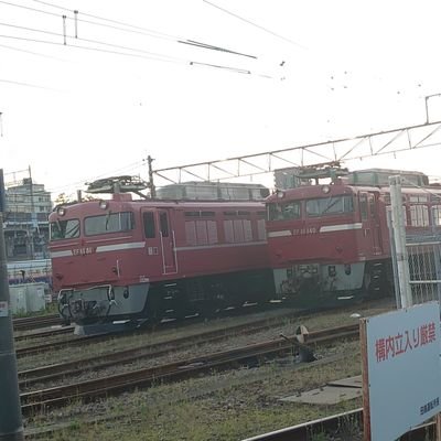どっかの田端運転所 EF81 EF65好き (@EF81EF65_suki) | Twitter