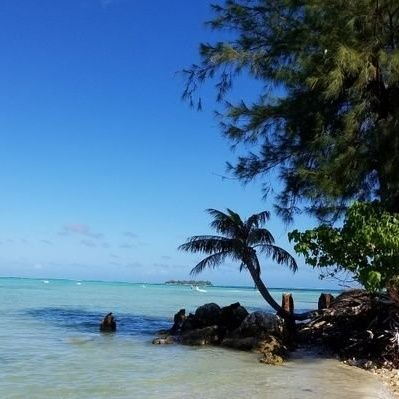 こより🍀🐈‍⬛ (@koyori_31011) / Twitter