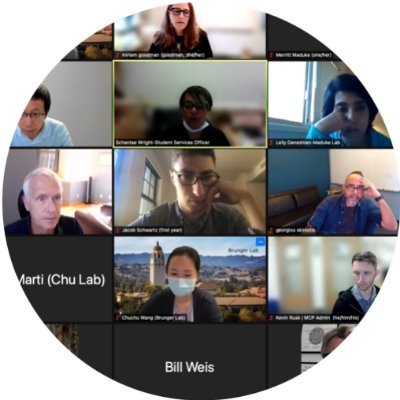 Stanford Knight Initiative for Brain Resilience (@BrainResilience) / Twitter