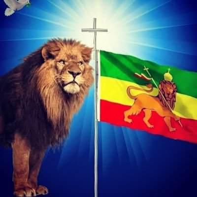 Gezish (@Gezish0) | Twitter