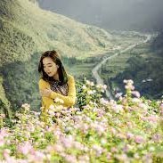 le thi lan chi (@lethilanchi91) | Twitter