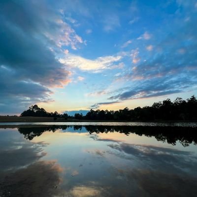 KamZ on Twitter: "[NSFW] FANART OMEN AOV #nsfw #aov #rov #fanart #r18 https://t.co/hsIN04e0DF ...