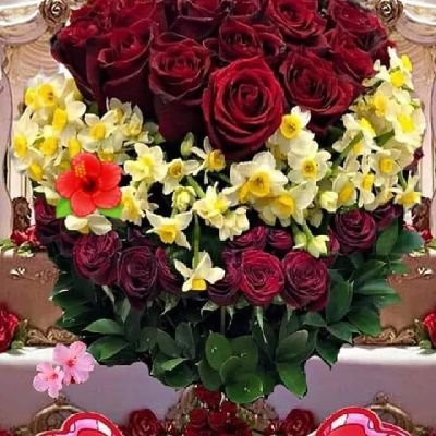 Malam sange Open vcs Nontop Bokep indo 18 on Twitter: "Cewe Orgasme Dengan Vibrator di balik ...