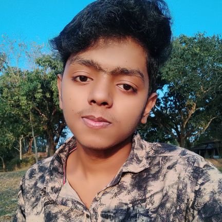 Shanto Bormon (@ShantoBormon8) | Twitter