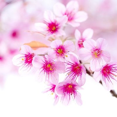 mod (@SRISUDA_28) | Twitter