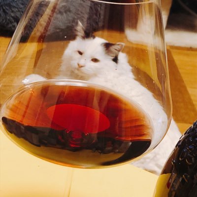 LuCe🍷 (@Wine_osen) / Twitter