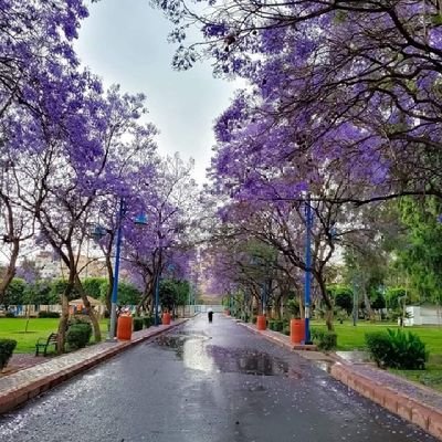 Video Bokep Hot Janda Sange on Twitter: "Boking Cewe Di Hotel bokep indo abg mesum viral memek ...