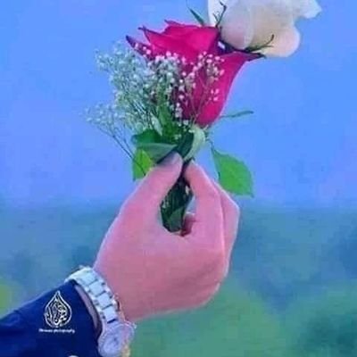 BOKEP xxx Viral Abg Mesum Video Colmek ᴍeᴍex 18+ on Twitter: "Video viral bokep indo ngewe ...