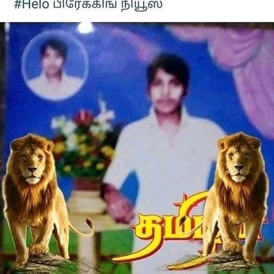 Skandal Perselingkuhan Bokep Tante Sange Nontop on Twitter: "bokep indo viral abg mesum sma smp ...