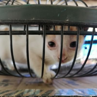 ryota (@K1Ryota) / Twitter