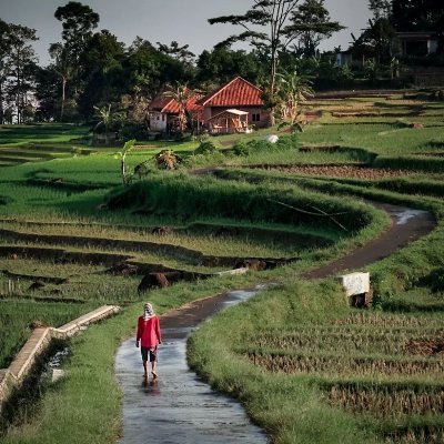 Bokep Lokal (@bokeplokalll) / Twitter