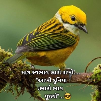 Cantik Sange Remas Toket Sendiri SANGE BOKEP on Twitter: "Bokep indo viral jilboob hot mesum ...