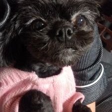 ナナ (@roku_maru_nana) / Twitter