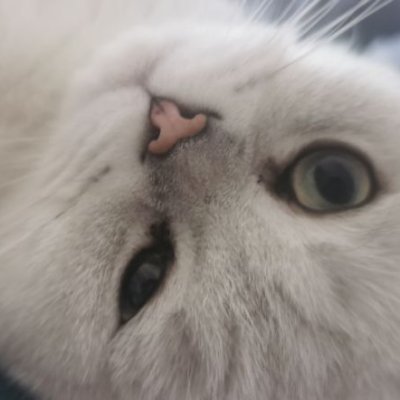 Undercoder (@Undercoder118) / Twitter