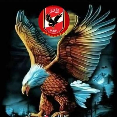 Sameh Ali (@SamehAl02059835) / Twitter