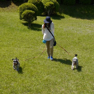 ザクロMK🐶🐶 (@momosukezakuro) / X ザクロMK🐶🐶 (@momosukezakuro) / X