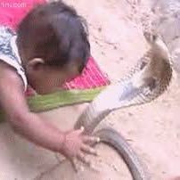 dub bub bud dud (@buddybubb) / Twitter