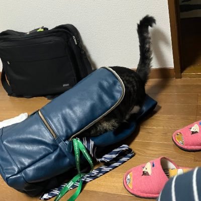 蒼憂んお/TSF on Twitter: "#TSF #他者変身 TS性癖に目覚める忍者の弟子たち https://t.co/kHnVyXiUkw" / Twitter