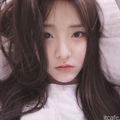 Video Bokep Viral Tante Diana Bugil Hot Mesum Indo (@GayGrayson3) / Twitter