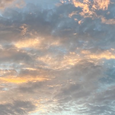 NK4"M on Twitter: "kncg + isbc（1/2） 2CPが同じ部屋で致してます…顔漫画なので大丈夫かと思います（何が） https://t.co/90v80xuGDP ...