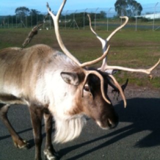 imail (@imail_Team) | Twitter