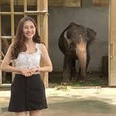 Niki suka nonton bokep vidio (@NikiMelchor) / Twitter