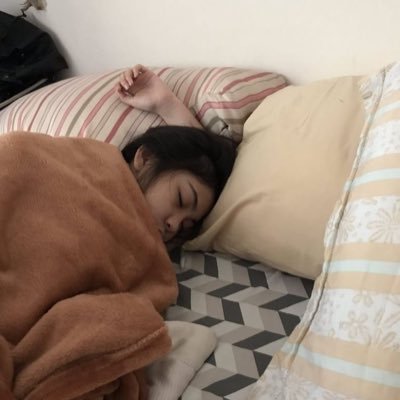 video bokep indo (@videobokep_ka) / Twitter