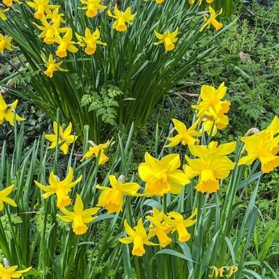 Bokep Hot Janda videos XX on Twitter: "🎞 Parte 276 📽️" / Twitter