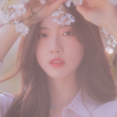 Valentin Higgins (@ValentinHigb136) / Twitter