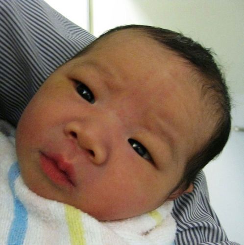 Jesse Zhou (@Jesse_Zhou) | Twitter