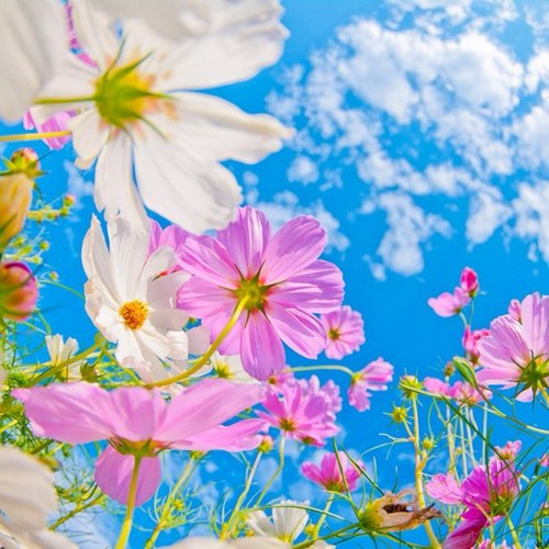 NAO.YAMA (@captainyama) | Twitter