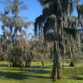 darren looker (@DarrenLooker) | Twitter