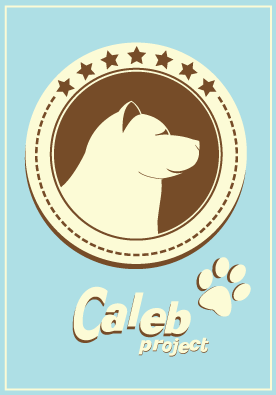 Caleb Project (@caleb_project) | Twitter