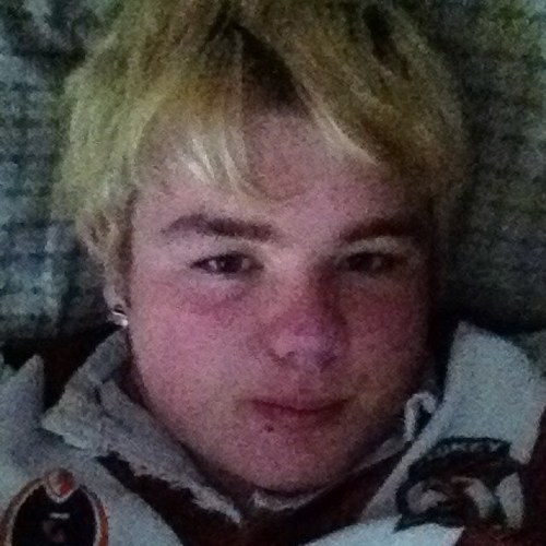 shane mcintosh (@shanemcintosh3) | Twitter