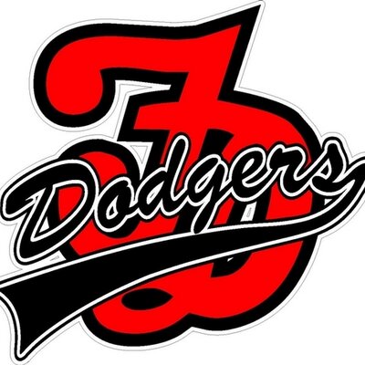 Dodge dodger store