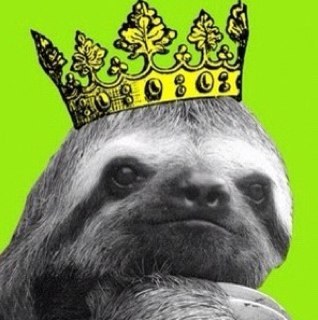 IG Sloth Rape (@_slothrape) | Twitter