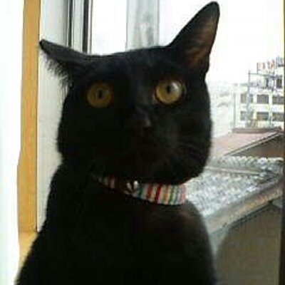 evan&salia (@evan_3232) / Twitter