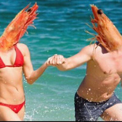 Hardcore Prawn (@kool_hair) | Twitter