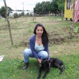 Pamela Romo Rivas (@PamelaaRomo) | Twitter