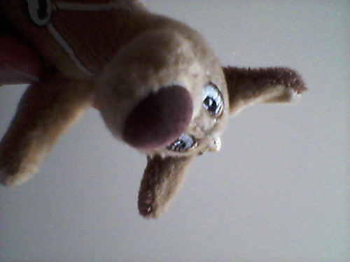 Daniel Pollak (@Phroderick) | Twitter