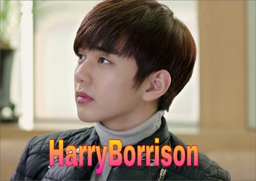 Harry Borrison 유승호 (@HarryBorrison_) | Twitter