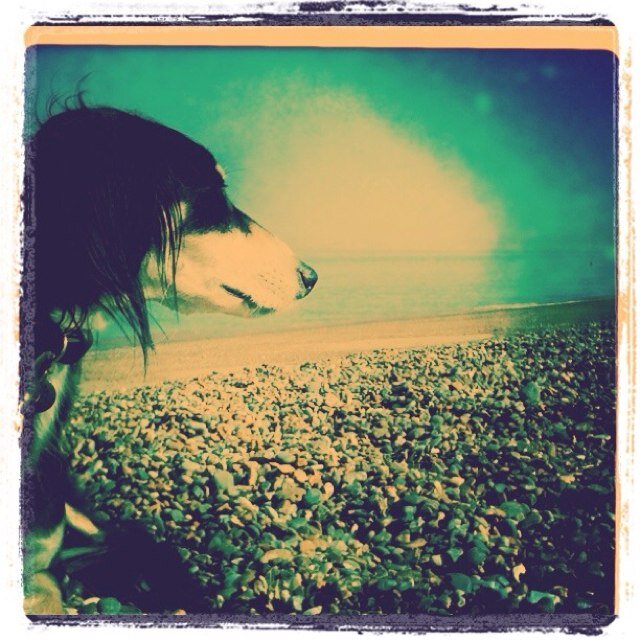 Denise Markham Wroe (@DeniseMWroe) | Twitter