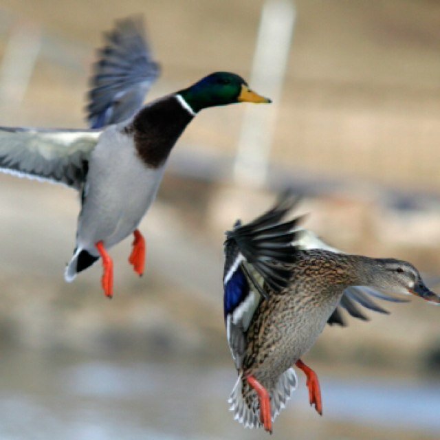 Colby Eubanks (@colby_eubanks) | Twitter